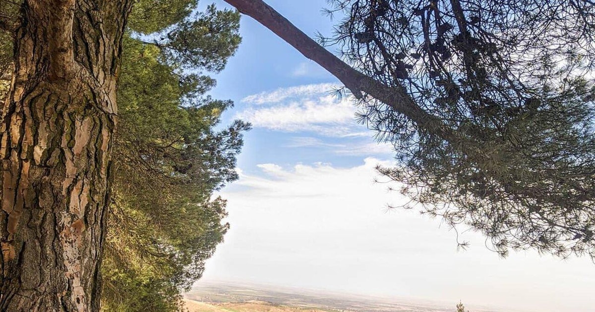 Hiking in Atlas & Tasghimout Plateau Day Trip From Marrakech | GetYourGuide