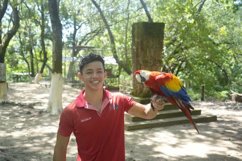 Roatan: Hug a sloth, jungle trails and meet wild life. | GetYourGuide