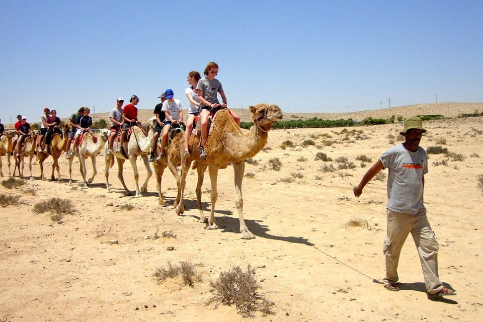 lunch under the tent in agafay desert with camel ride tour | GetYourGuide