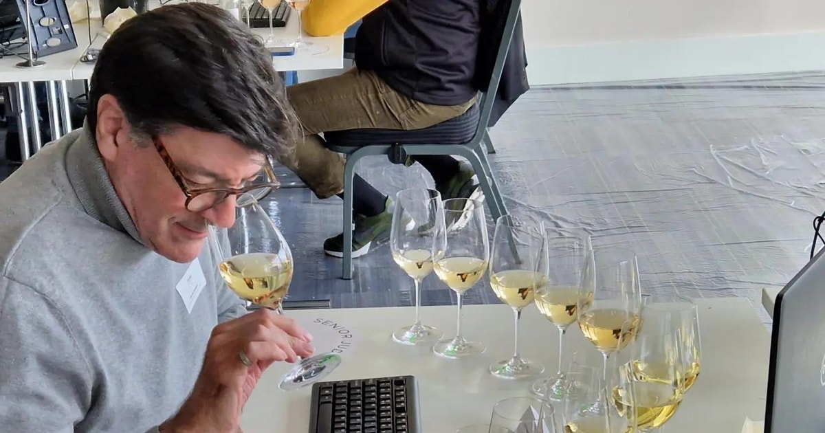 Taste Local Wines in Roman Cellar w/ Wine Judge & Vigneron | GetYourGuide