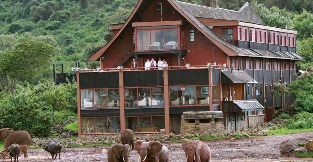 Safari de 5 dias em Masai Mara, Lago Nakuru e Circuito de Aberdare ...