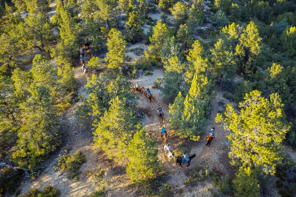 Orderville: Checkerboard Mesa Guided Sunset Horseback Ride | GetYourGuide