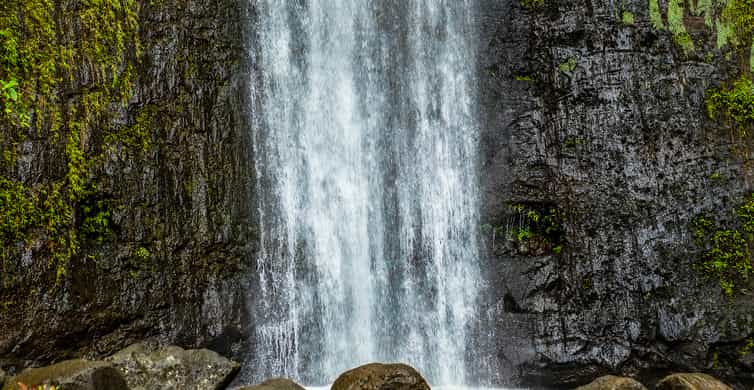 Hike Trail to Waterfall & Nature Walk | GetYourGuide