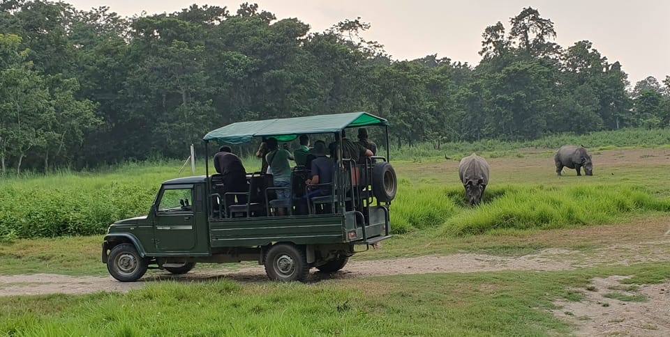 Nature Jungle Safari in Chitwan National Park 2 night 3 days | GetYourGuide