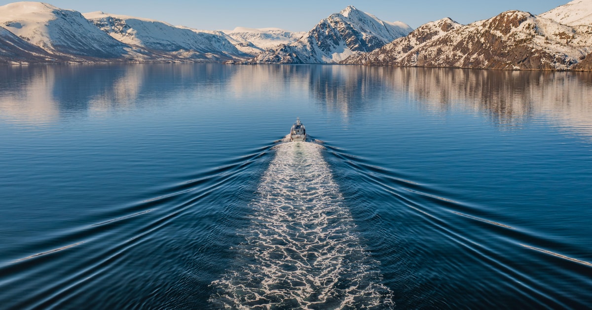 Alta: Altafjord 2-Hour Fjord Safari with Guide | GetYourGuide