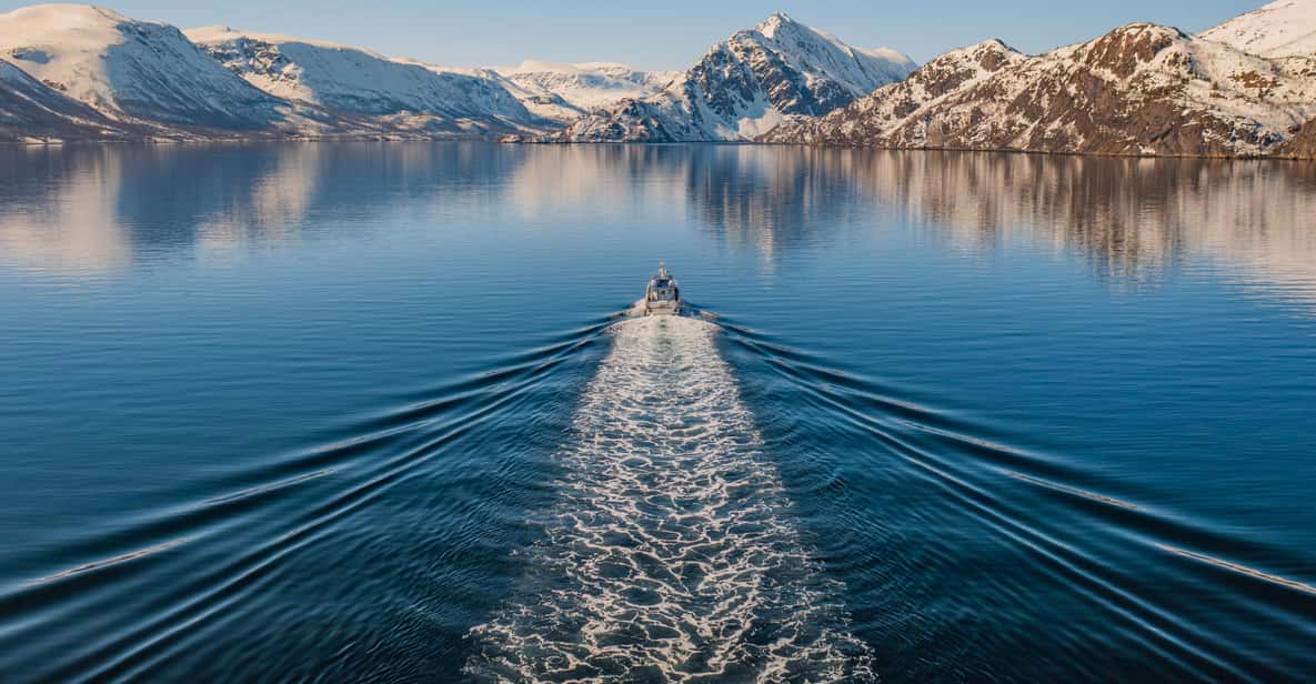 Alta: Altafjord 2-Hour Fjord Safari with Guide | GetYourGuide
