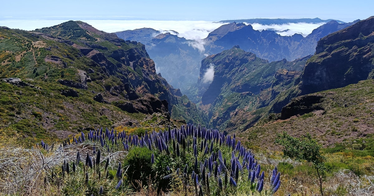 Madeira: East Island Tour with Lunch and Hotel Pickup | GetYourGuide