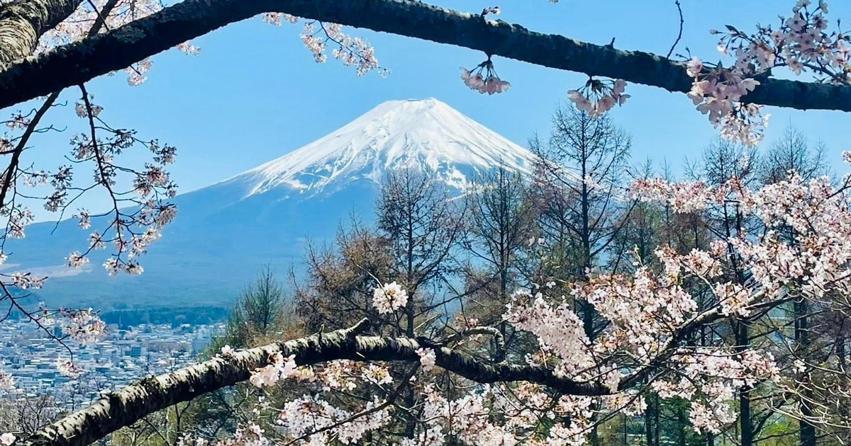 Excursión de un día con guía completa al Monte Fuji, Japón | GetYourGuide