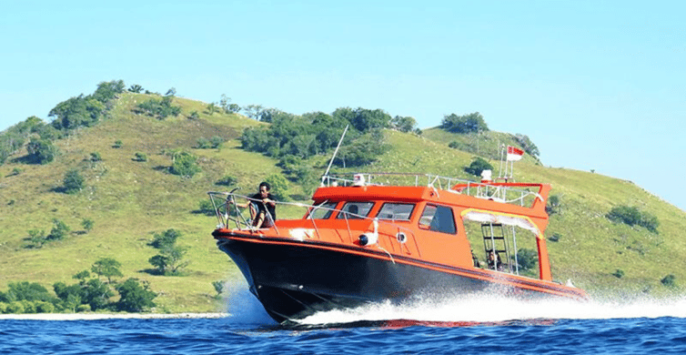 Komodo Islands: 2D1N Speedboat Tour, Land Tour & Hotel Stay | GetYourGuide