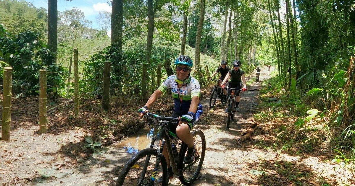 Salento: Coffee Region Mountain Bike Tour with Lunch | GetYourGuide