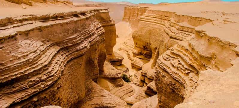 Ica: Día completo en el Cañón de Los Perdidos | GetYourGuide