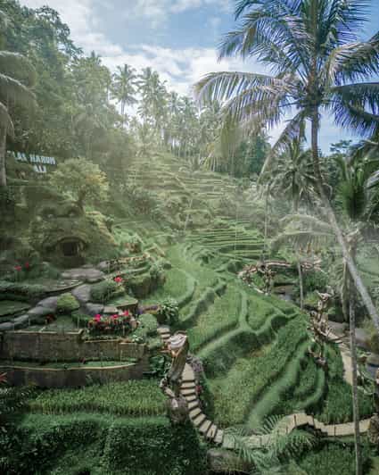 Ubud: Alas Harum Day-Pass, Swing, Sky Bike & Flying Fox | GetYourGuide