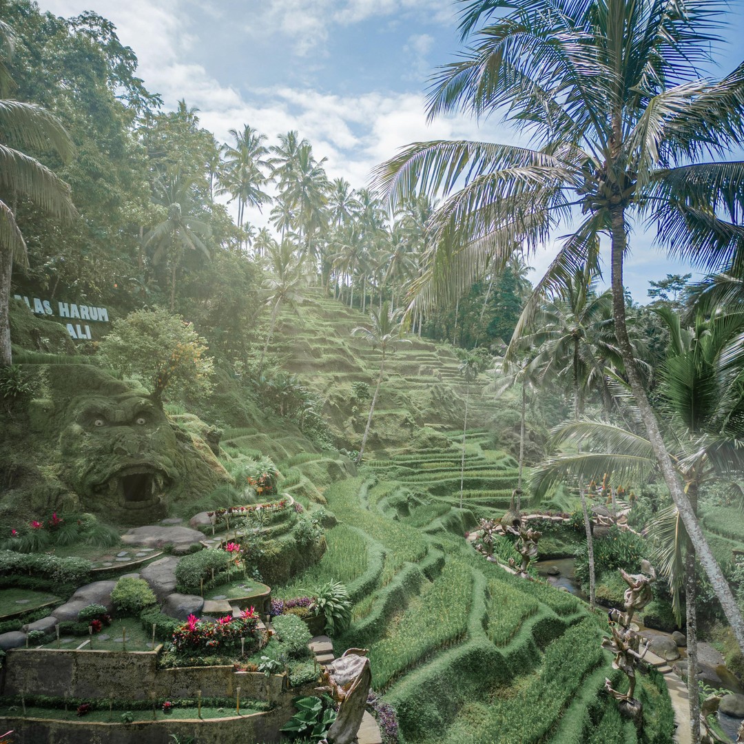 Ubud: Alas Harum Day-Pass, Swing, Sky Bike & Flying Fox | GetYourGuide
