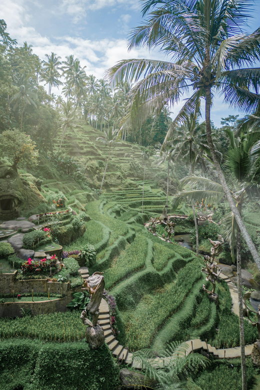 Ubud: Alas Harum Day-Pass, Swing, Sky Bike & Flying Fox | GetYourGuide