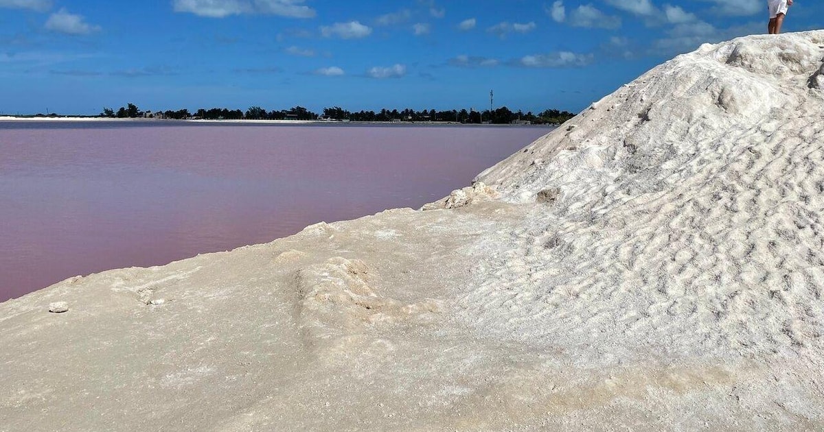 Las Coloradas: Tour guidato del Lago Rosa e visita al Rio Lagartos ...