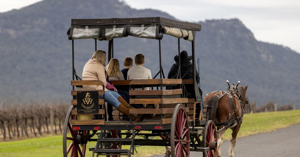 Pokolbin: Harvest the Hunter Horse Drawn Carriage Tour 3hrs | GetYourGuide