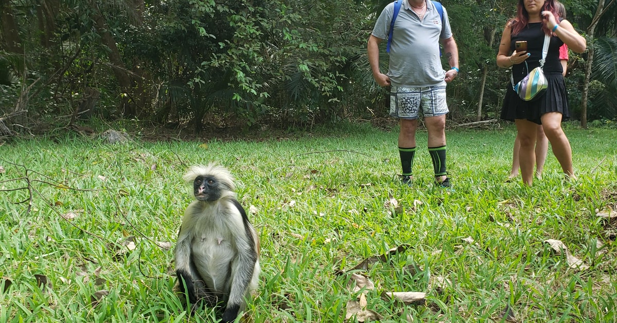 BOSQUE DE JOZANI para vivir la experiencia de los monos colobos rojos ...