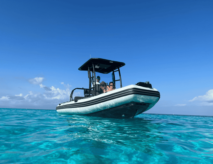 Cozumel: Zodiac Pro RIB Explorer Boat Tour | GetYourGuide