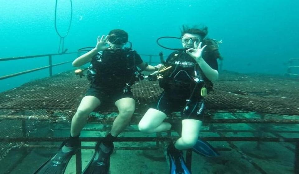 Jeddah Explore Dive: in the Majestic Red Sea | GetYourGuide