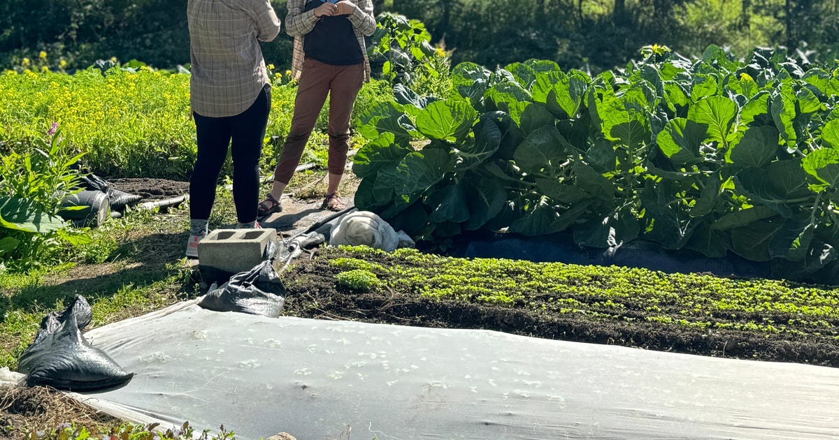 Palmer: Farm Tour + Tasting | GetYourGuide