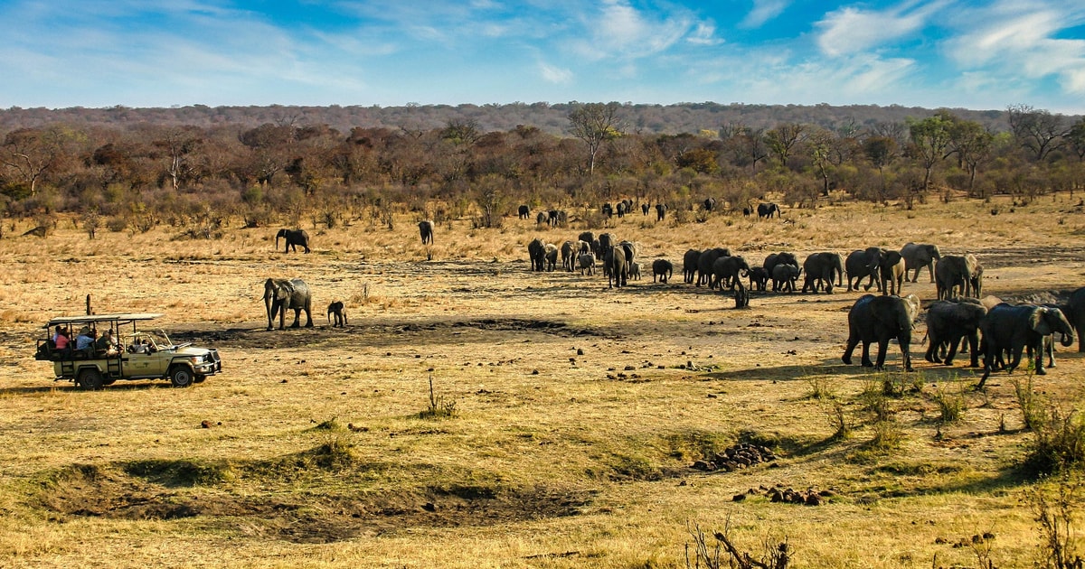 BBQ/Braii Safari Game Drive next to waterhole in Chamabondo | GetYourGuide