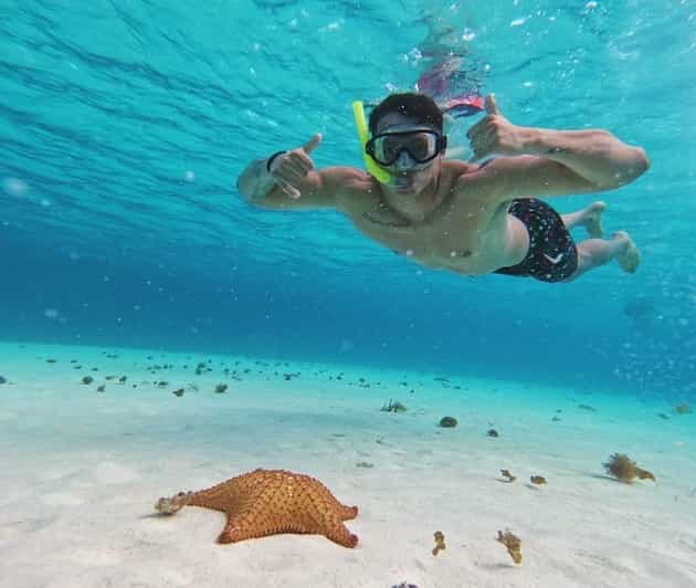 El Cielo and El Cielito with Beach Club, Catamaran, Lunch and Open Bar ...