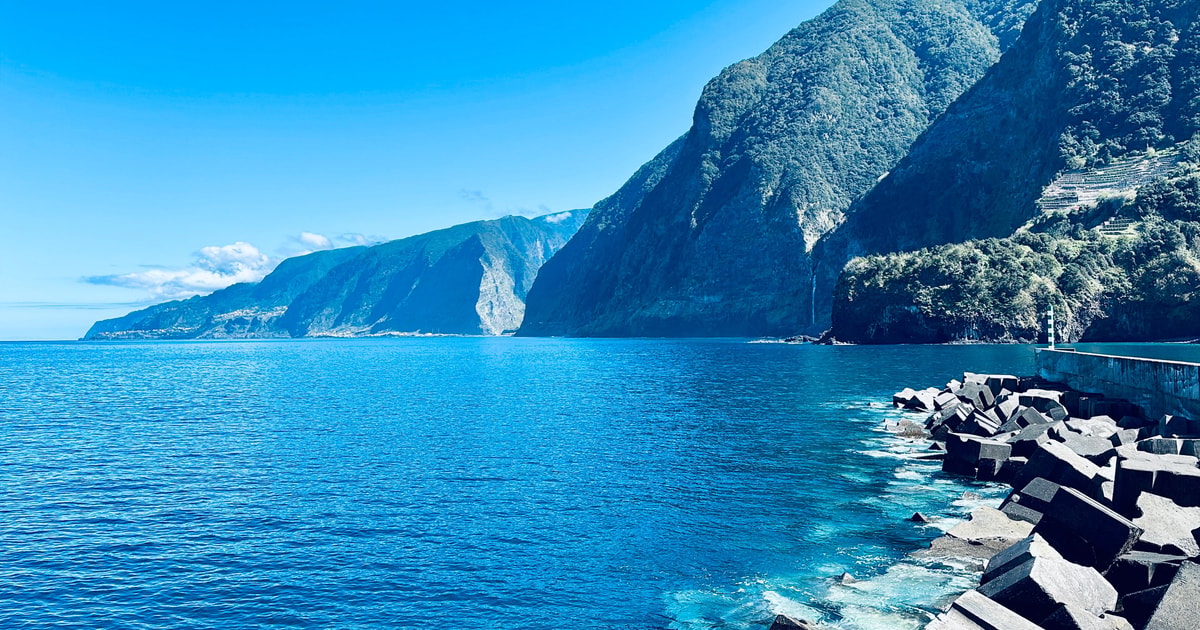 Madeira: Achadas Cruz, Porto Moniz, Seixal voor cruiseschip | GetYourGuide