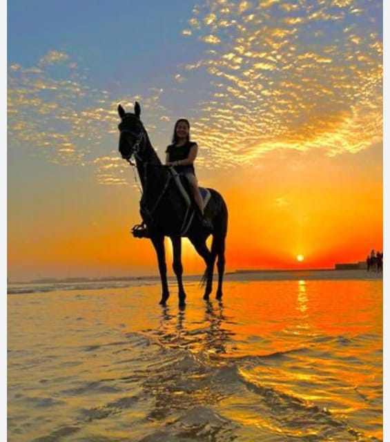 Arabian Horse Ride in Qatar Desert | GetYourGuide