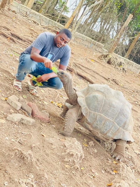 Gevangeniseiland Tour (Changuu eiland) | GetYourGuide