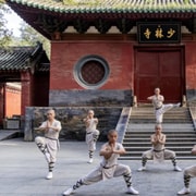 Beijing:Bullet Train Day Tour to Shaolin Temple&Martial Arts - 2026 ...