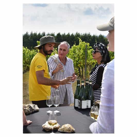 Kent: Prohlídka a ochutnávka vína ve Westwell Wine Estate | GetYourGuide