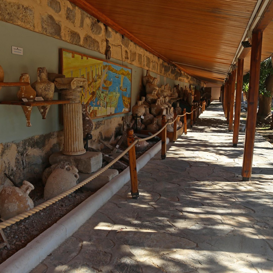 Porto di Bodrum: tour della città con visita al castello e al mausoleo ...