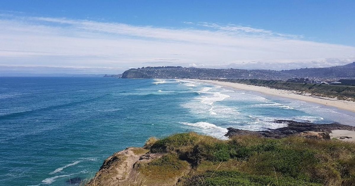 Dunedin City & Otago Peninsula Scenery and Wildlife Day Tour | GetYourGuide
