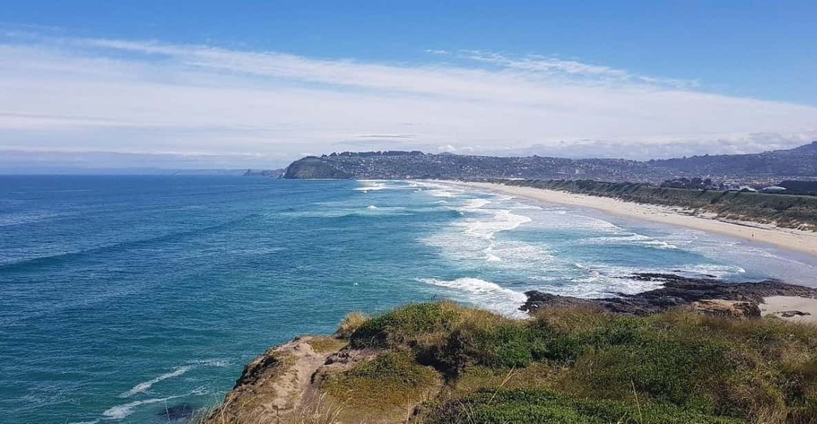 Dunedin City & Otago Peninsula Scenery and Wildlife Day Tour | GetYourGuide
