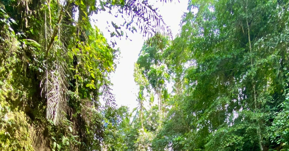 Wycieczka z przewodnikiem po tarasie ryżowym, wodospadzie i świątyni w ...