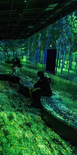 Montreal: OASIS Immersion Entry Ticket | GetYourGuide