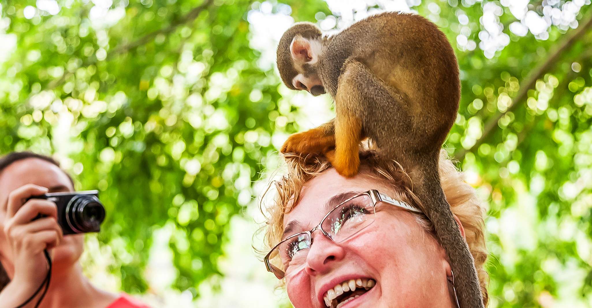 Punta Cana, Monkey Land Half-Day Safari and Plantation | Guided Tour in ...