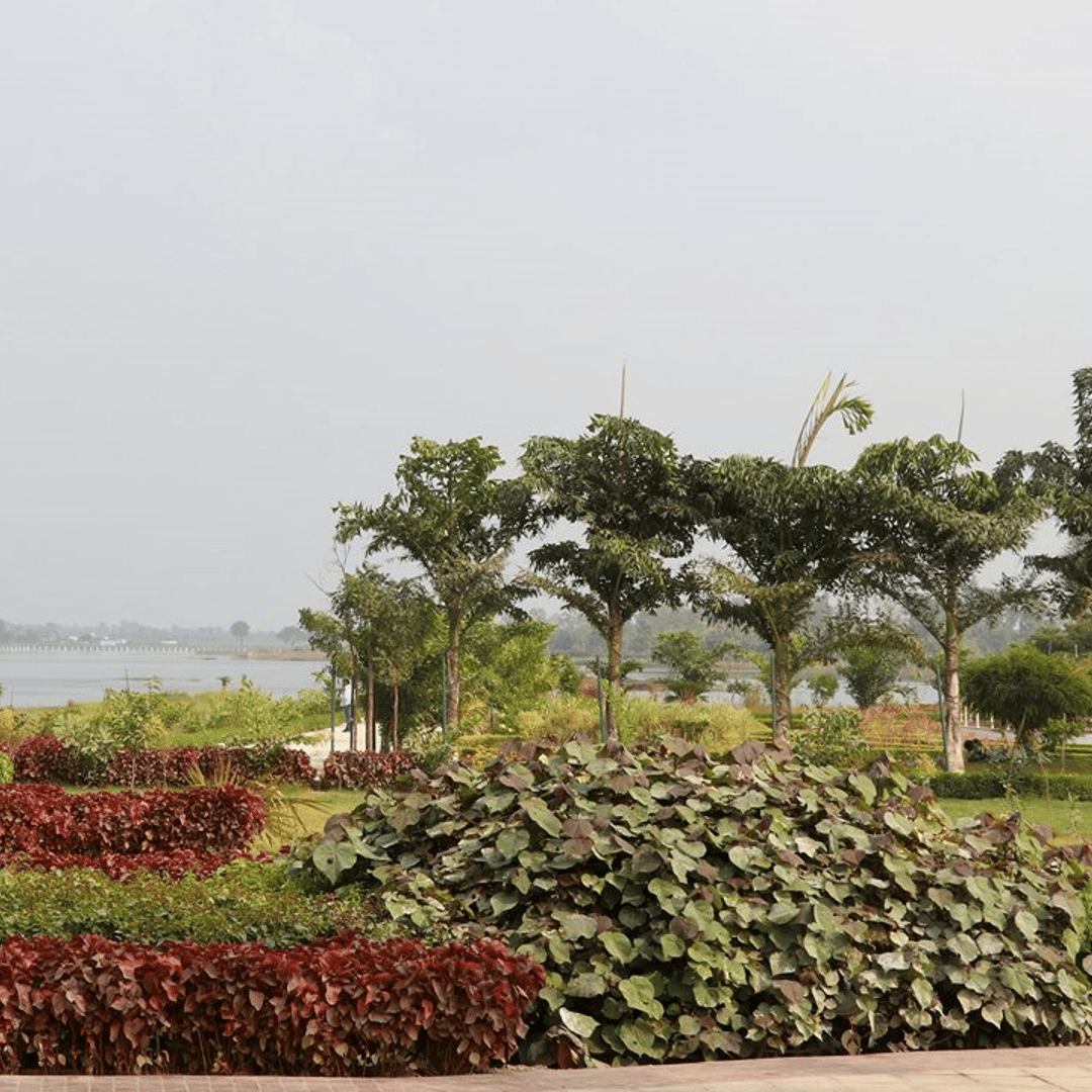 Da Delhi: gita di 1 giorno ai templi di Rajim e alla confluenza dei ...