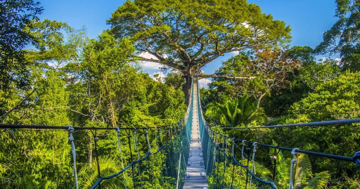 4D Eco-Adventure Tour Amazon Paradise - Puerto Maldonado | GetYourGuide