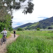 Nelson: Spooners Tunnel to Nelson Cycle Tour | GetYourGuide