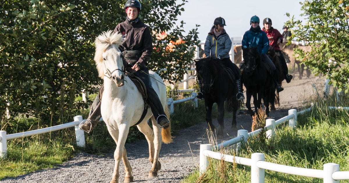 Hveragerdi: Die Siggi-Reittour | GetYourGuide