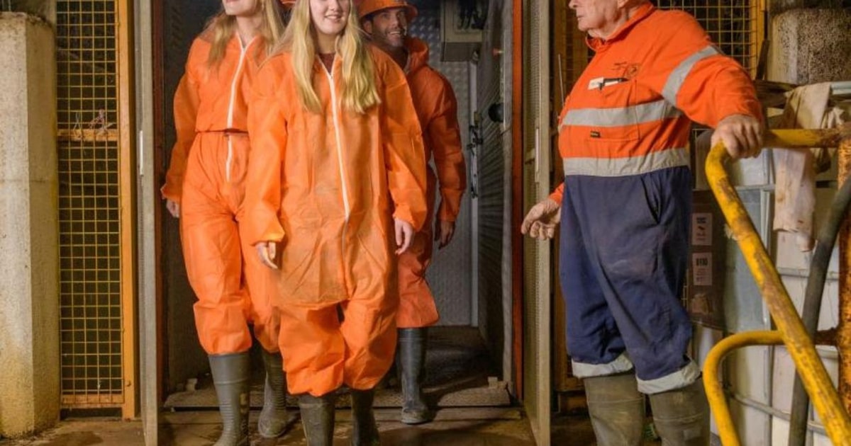 Mount Isa: Hard Times Mine Tour | GetYourGuide