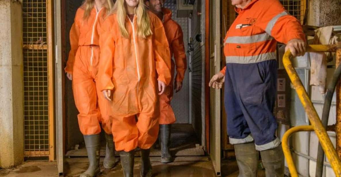 Mount Isa: Hard Times Mine Tour | GetYourGuide