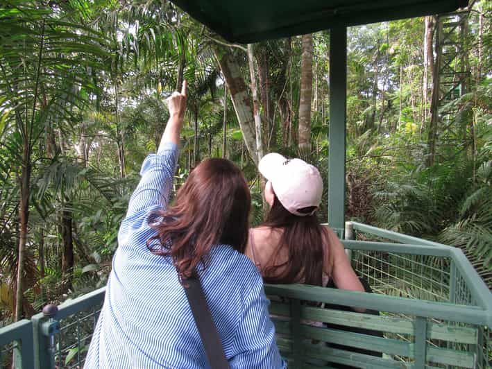 From Panama City: Aerial Tram and Sloth Sanctuary Tour | GetYourGuide