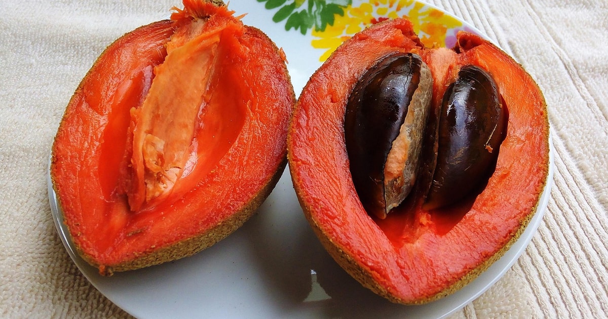 Cata guiada de frutas tropicales de Costa Rica en San José | GetYourGuide