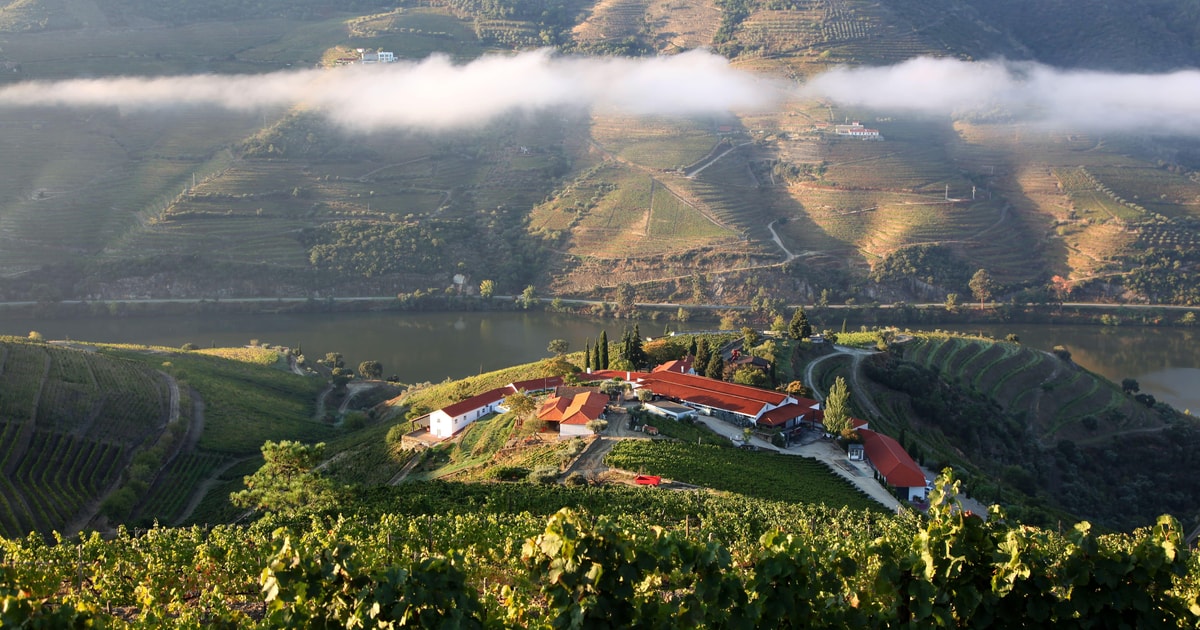 Quinta Nova: Douro Reservaat Wijn Tour & Proeverij | GetYourGuide