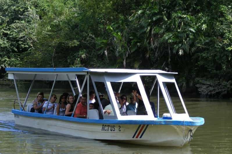 Palo Verde: Tempisque River Wildlife Safari with Lunch | GetYourGuide
