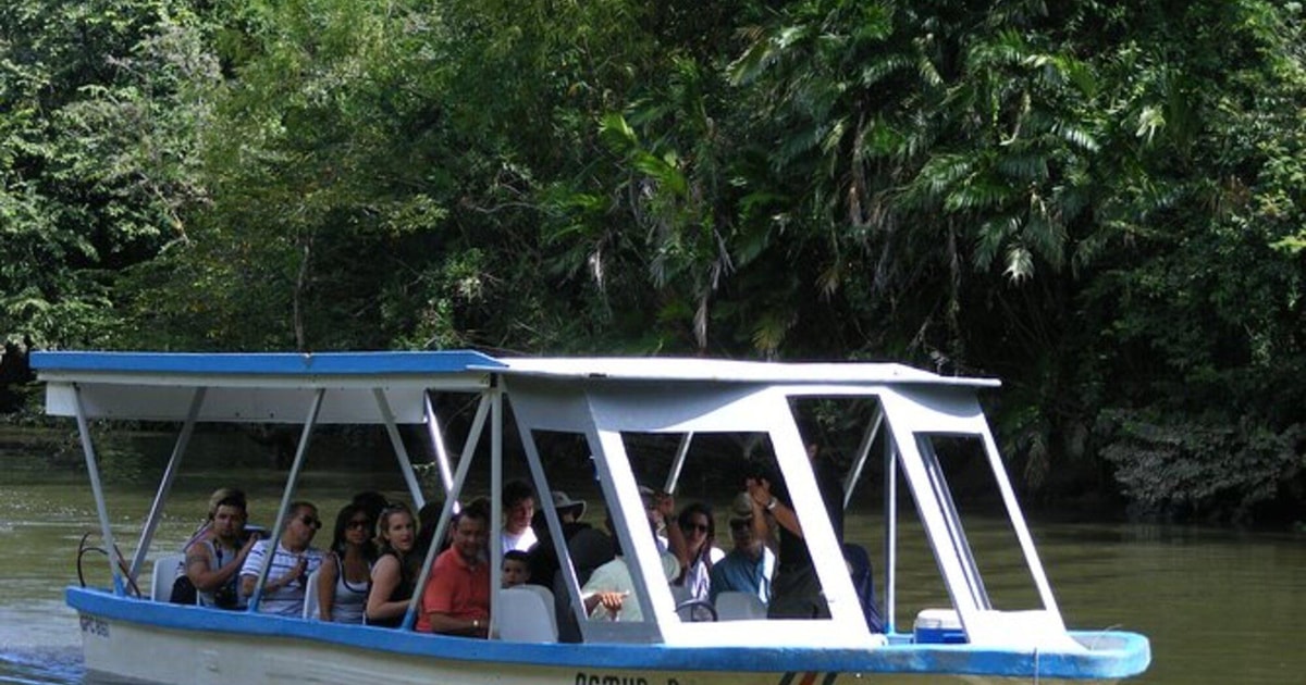 Palo Verde: Tempisque River Wildlife Safari with Lunch | GetYourGuide
