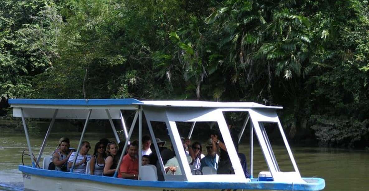 Palo Verde: Tempisque River Wildlife Safari med frokost | GetYourGuide