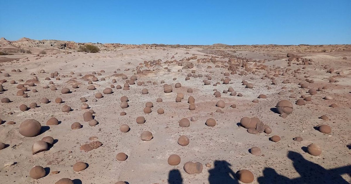 San Juan: Ischigualasto Park Valley of the Moon Tour | GetYourGuide